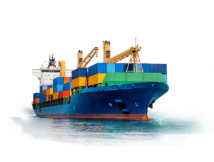 Export - Freedom Ceramic